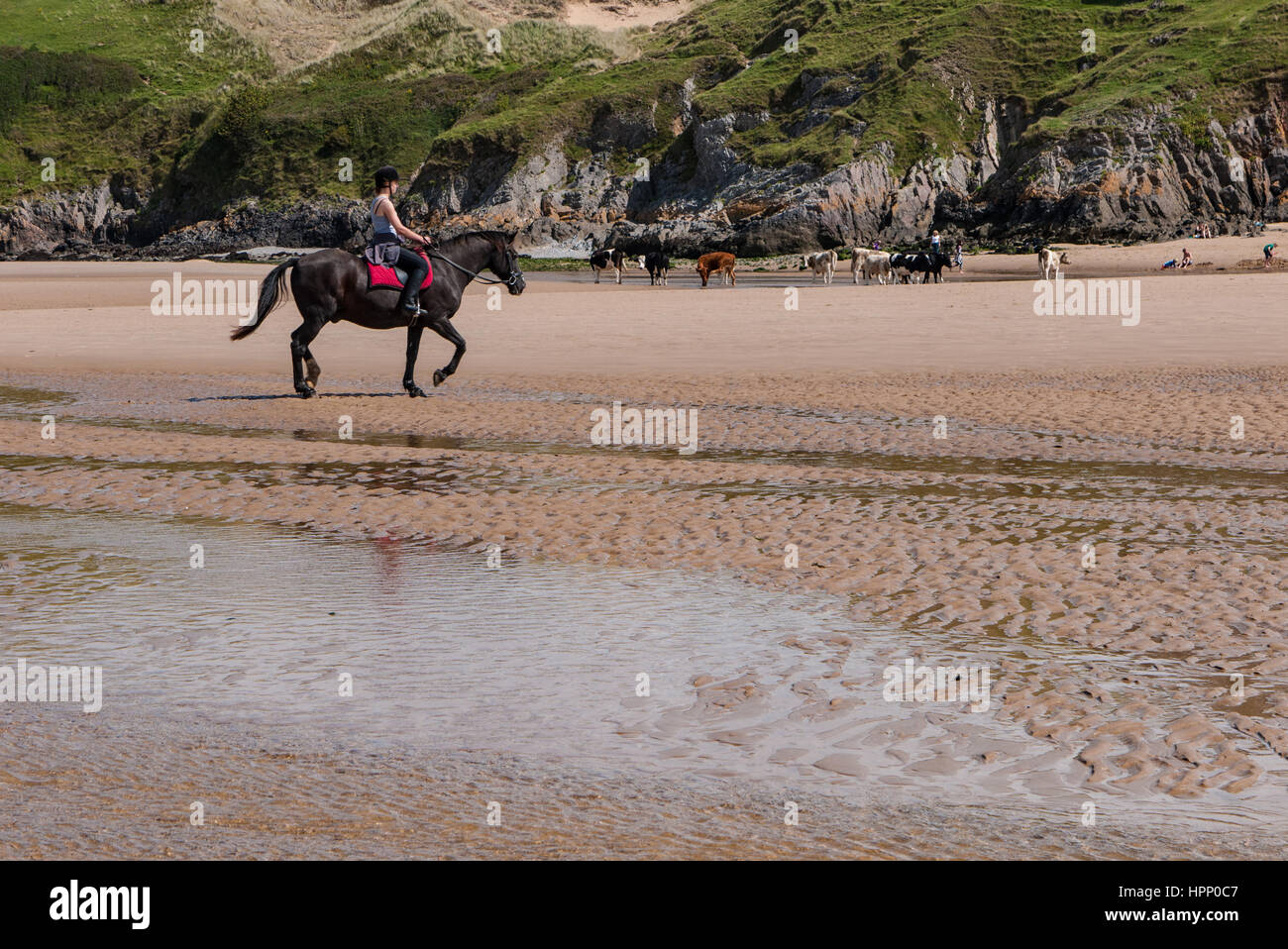Horse Rider on the beach at Three Cliffs Bay, The Gower, Swansea, Wales ...