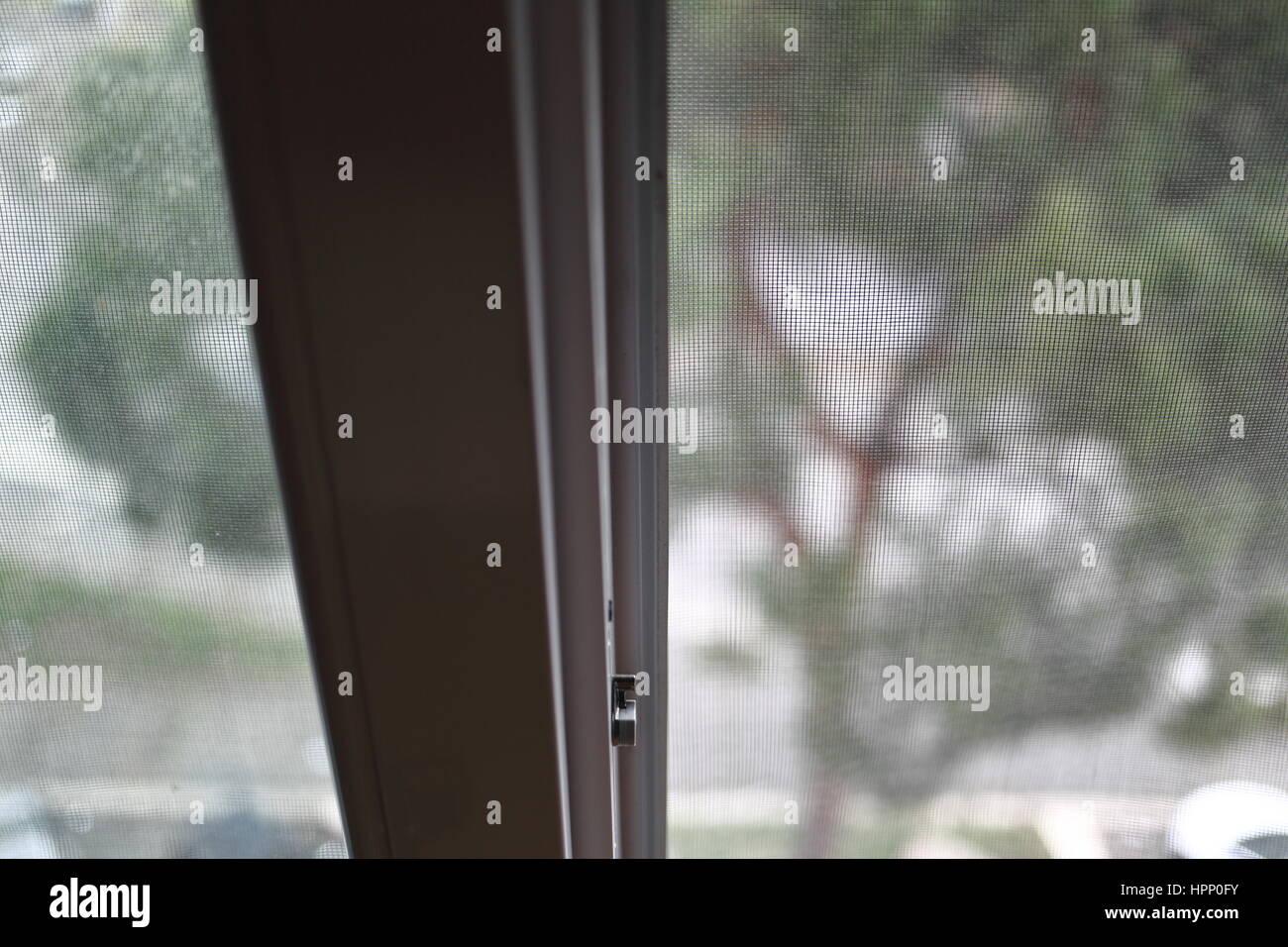 Mosquito net on a PVC window Stock Photo - Alamy