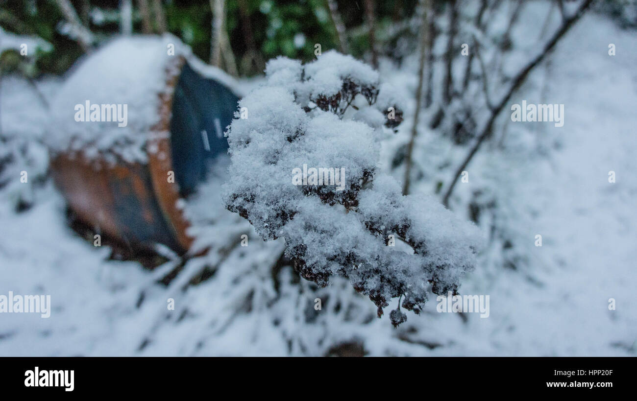 Broken clay pot hi-res stock photography and images - Alamy