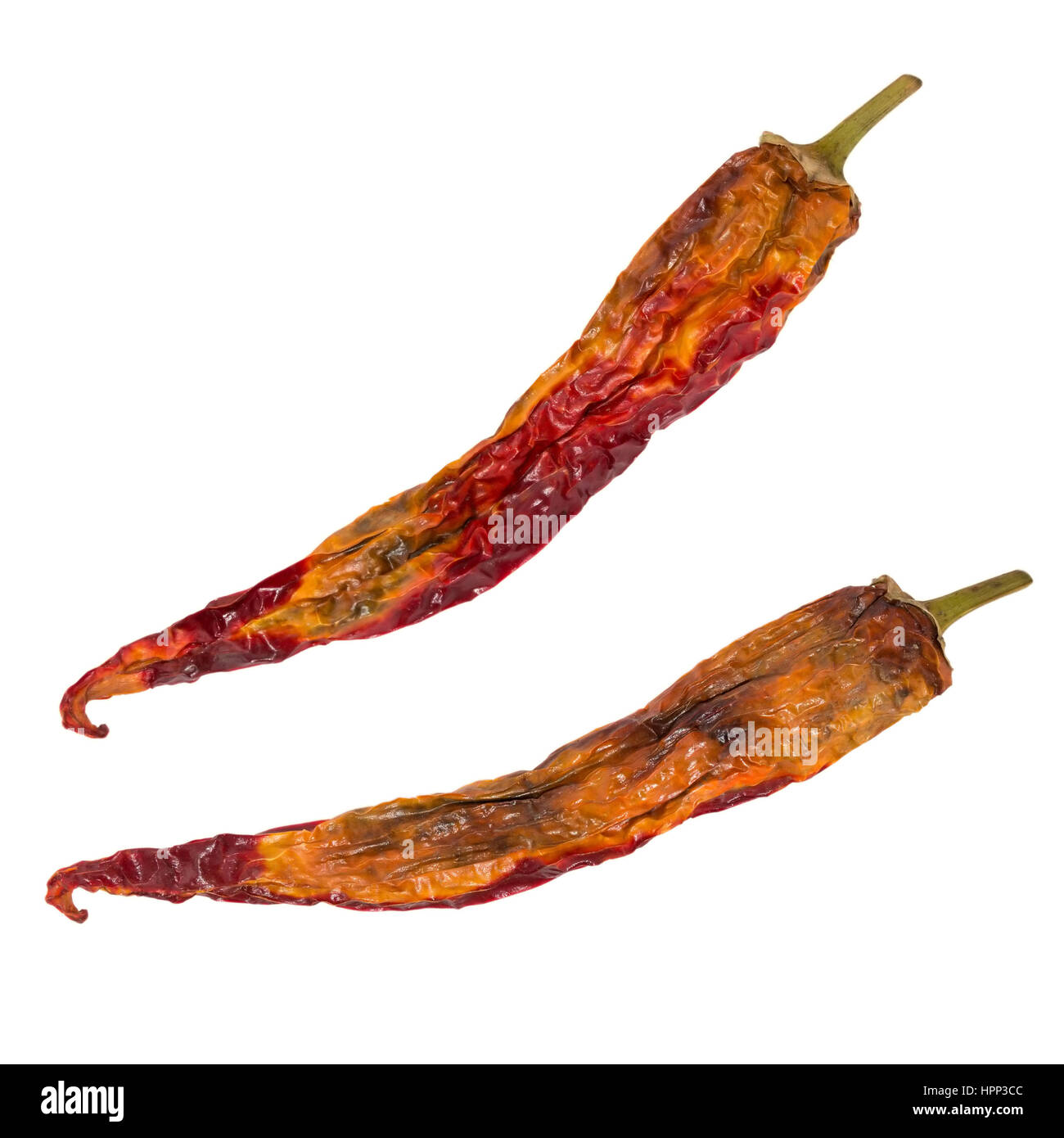 Dry chili pepper isolated. Dried vegetable. Group of peppers Stock ...