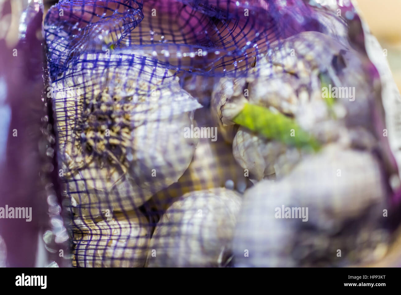 Garlic Mesh High Resolution Stock Photography and Images - Alamy