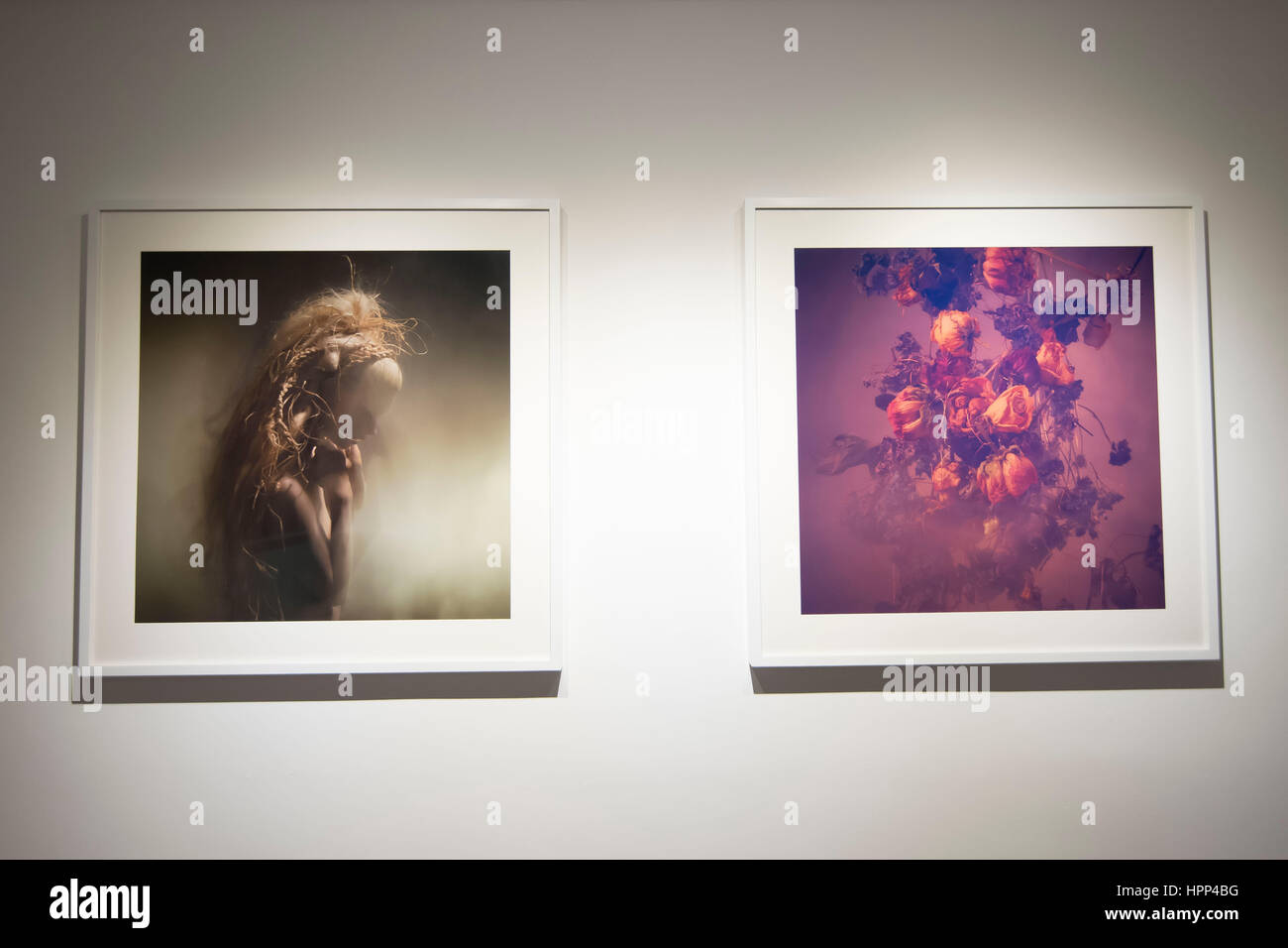 London, UK. 23rd Feb, 2017. Inauguration of 'Immortal' by Warren Du ...