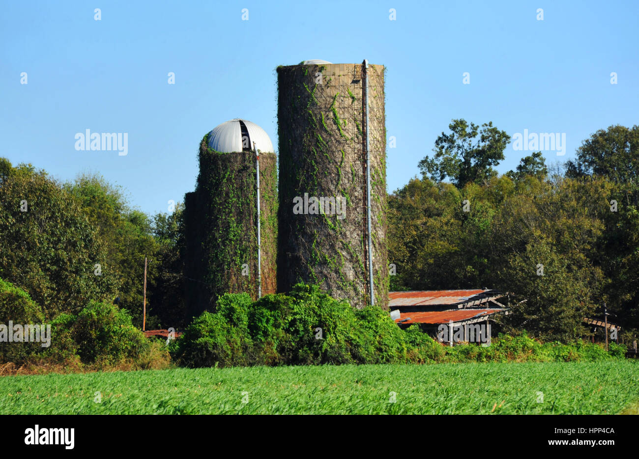 Overgrown Barn High Resolution Stock Photography and Images - Alamy