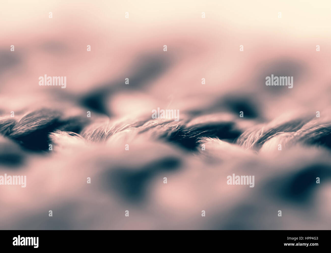 a macro photo of a section of an acrylic woven rug Stock Photo - Alamy