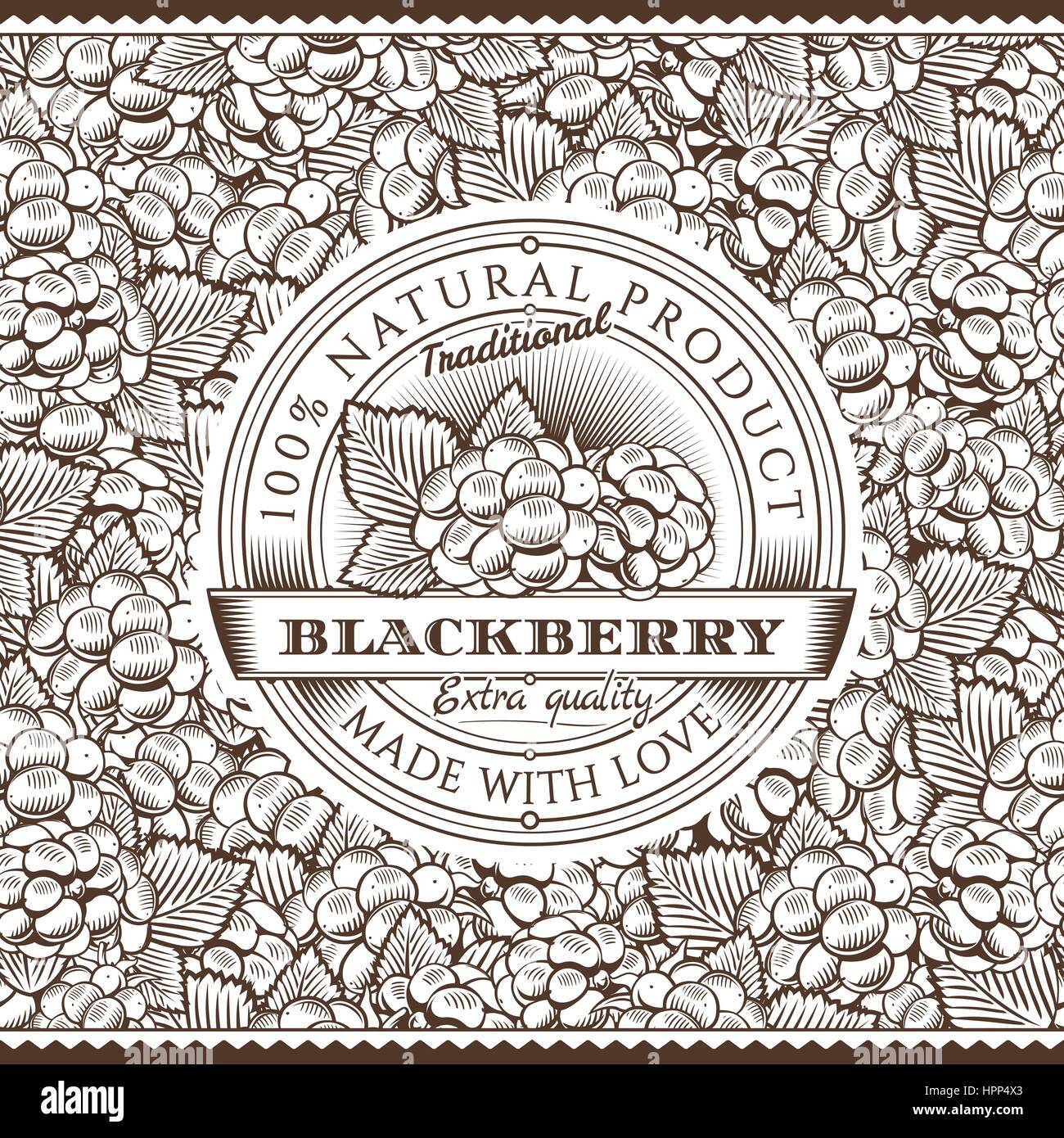 Vintage Blackberry Label On Seamless Pattern Stock Vector Image & Art ...