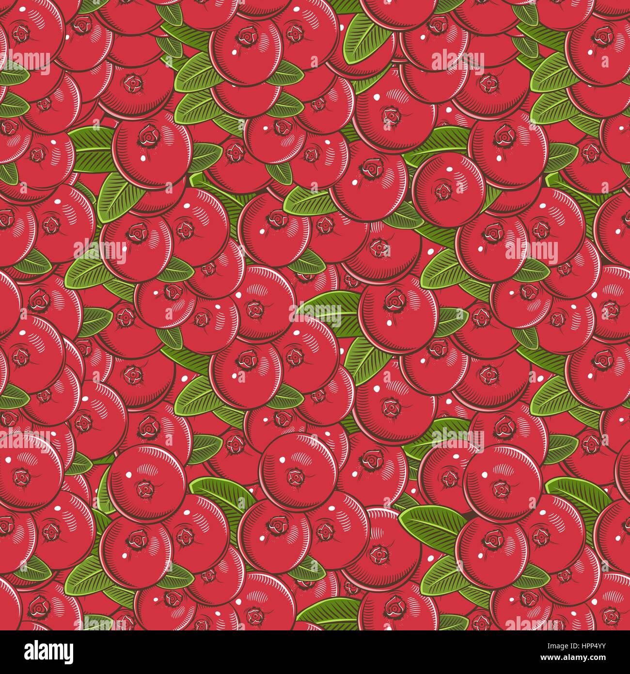 Cranberry graphic Stock Vector Images - Alamy