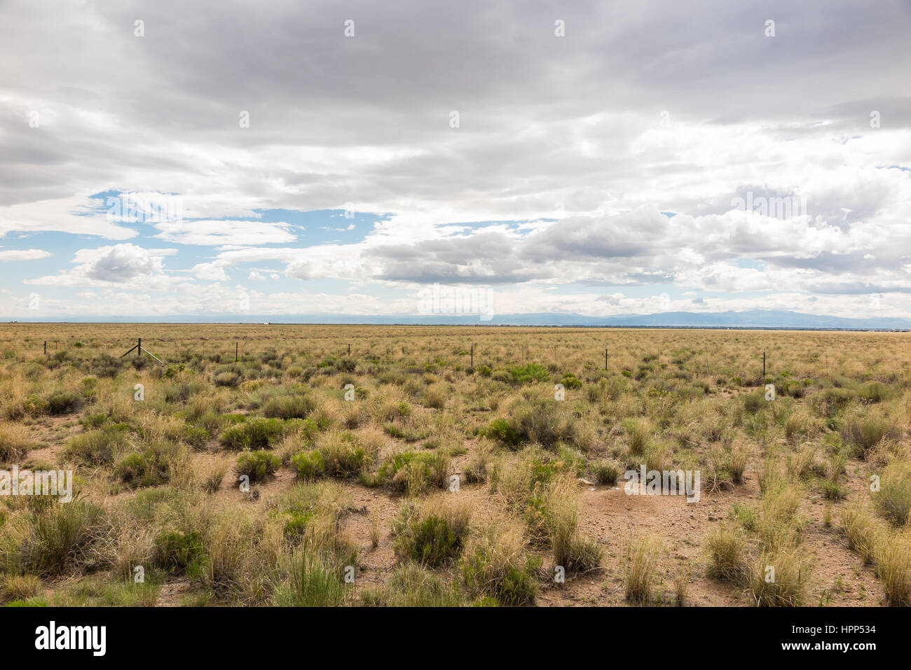Grass farm field, flat plains, with a partly cloudy sky Stock Photo - Alamy