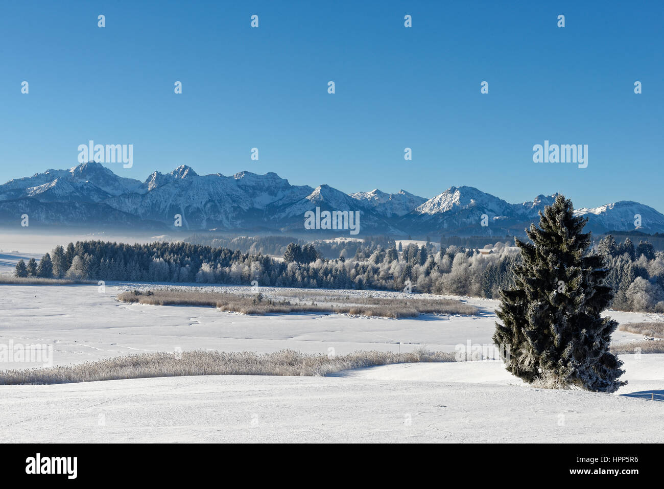 Illasberg and forggensee in winter hi-res stock photography and images ...