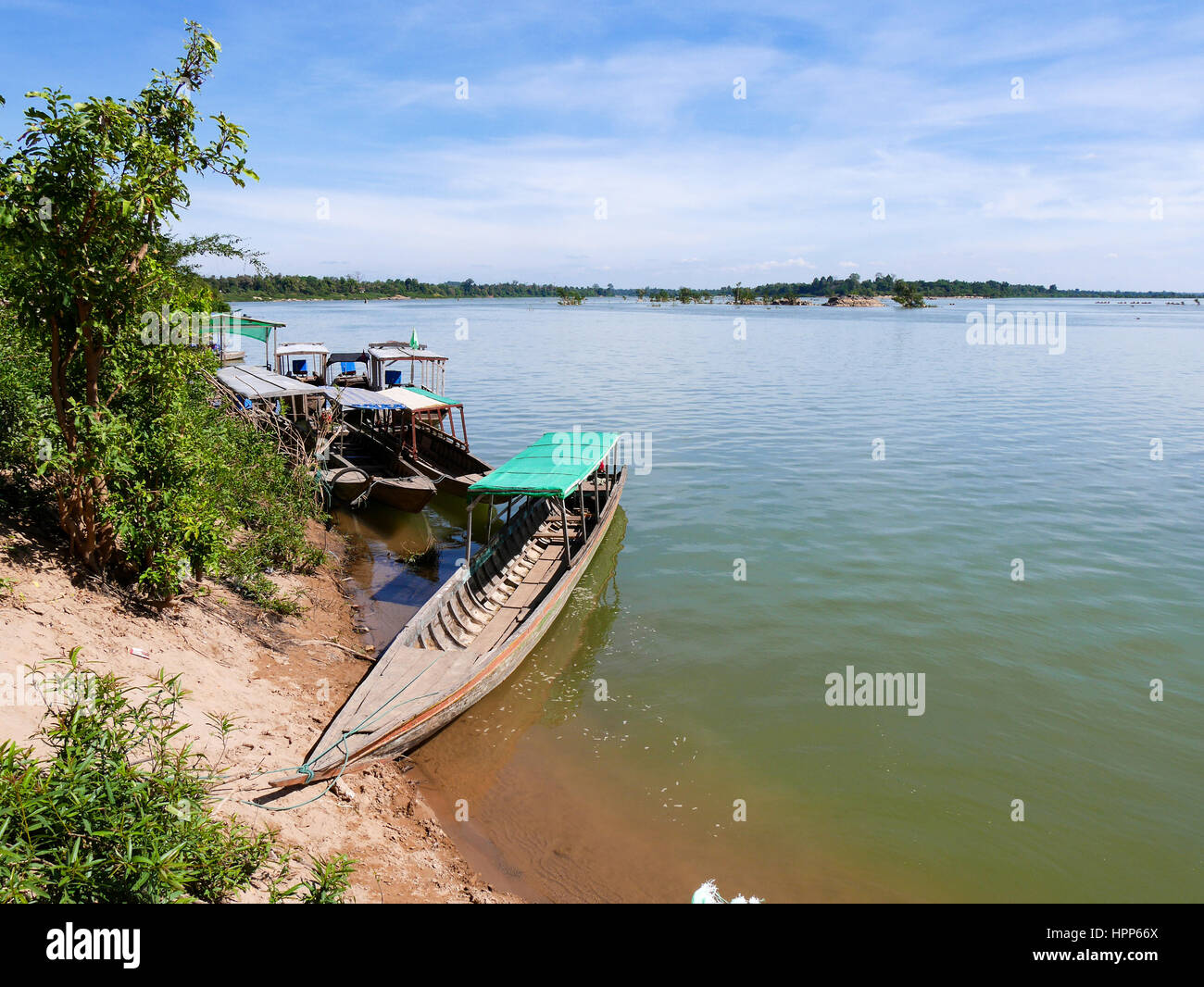 Boat on the side of a river surrounded by plants trees and vegetation ...