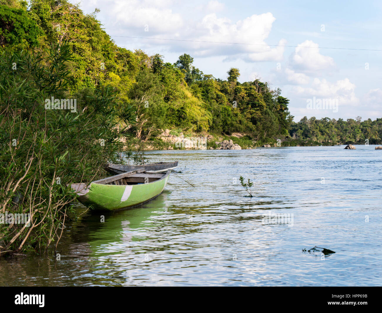 Boat on the side of a river surrounded by plants trees and vegetation ...