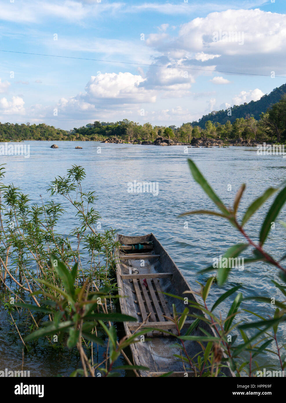 Boat on the side of a river surrounded by plants trees and vegetation ...
