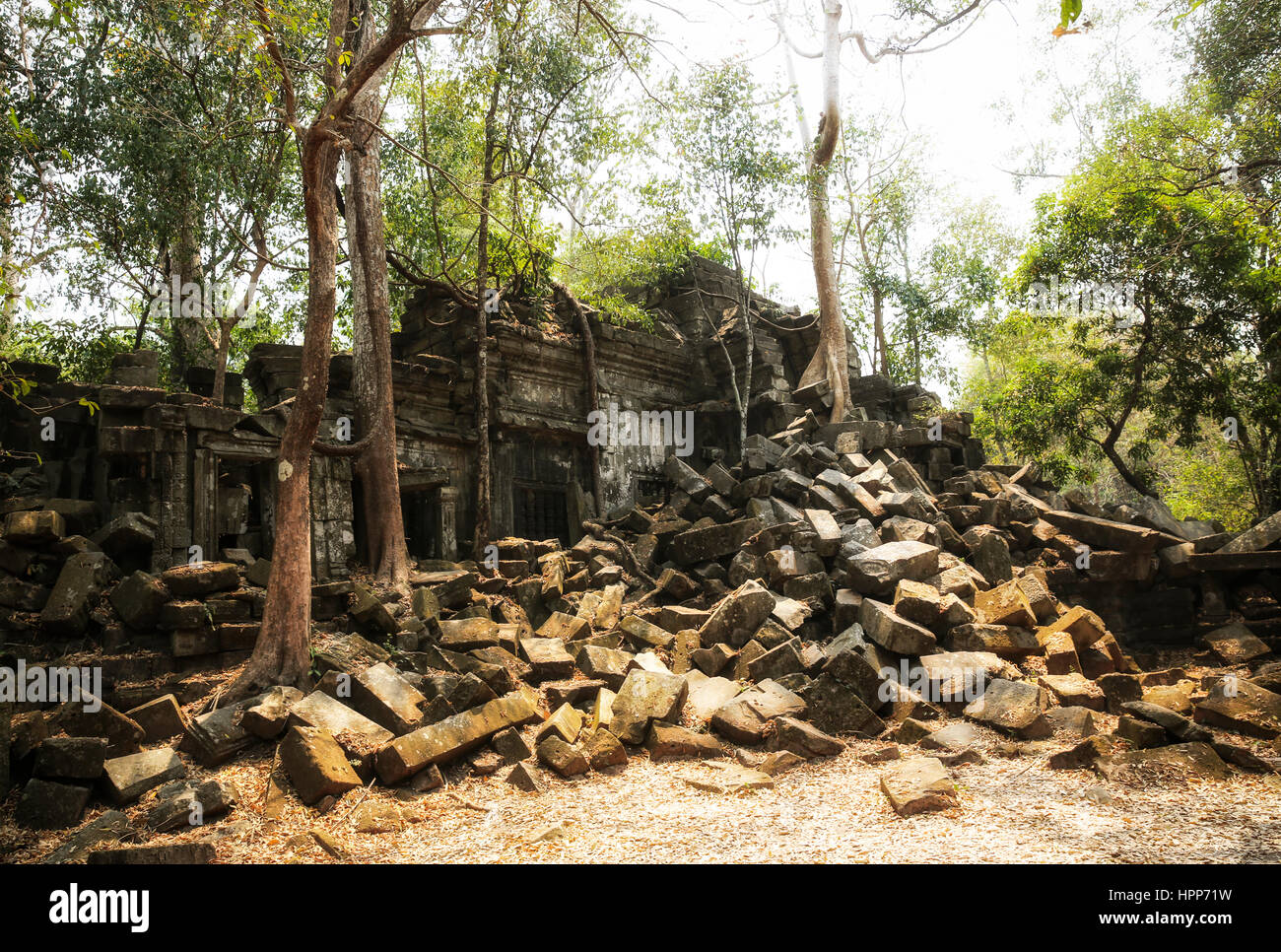 Cambodia, Angkor, Beng Mealea Temple Stock Photo - Alamy