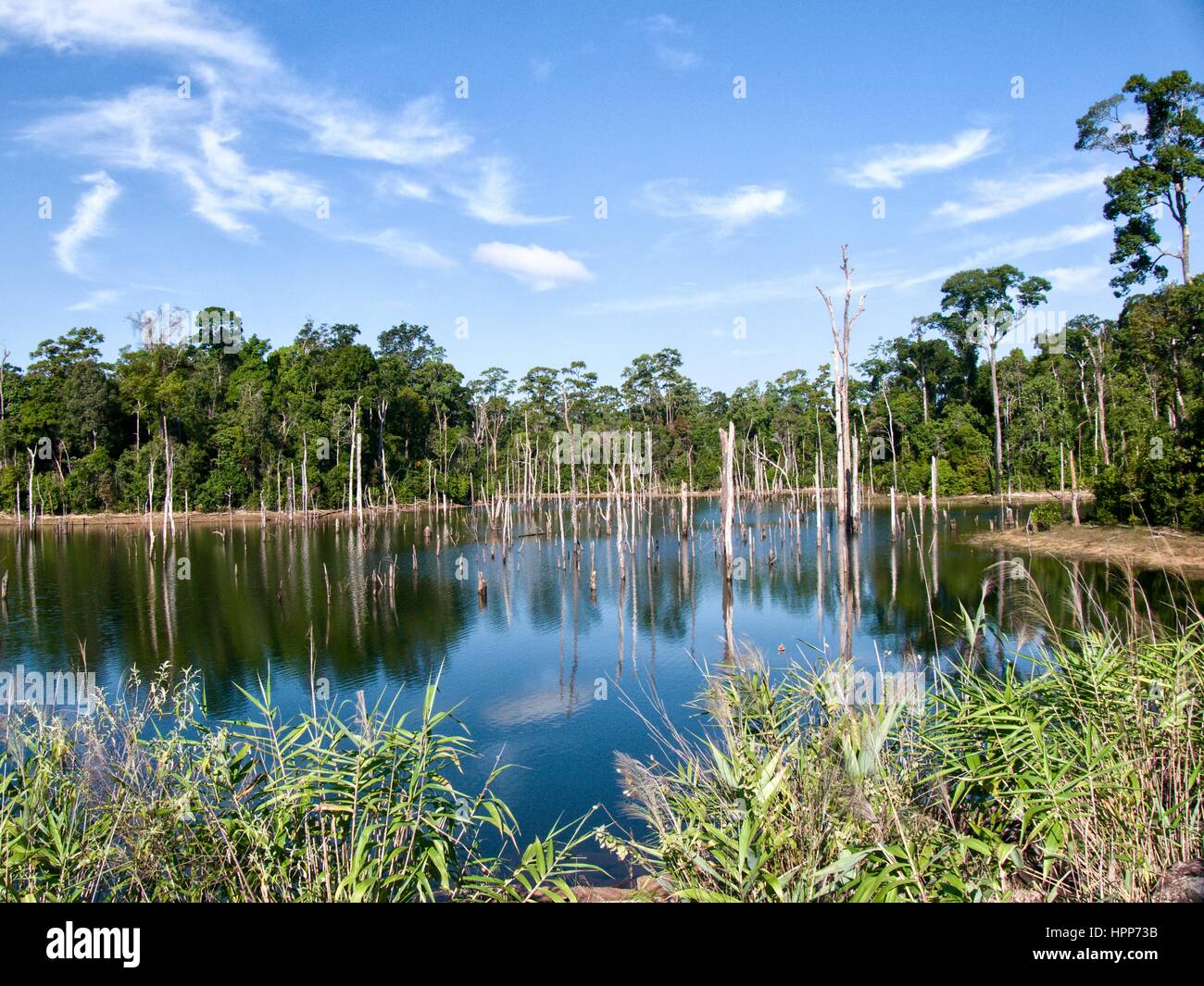 Still reflection of surrounding trees and clouds in a still blue lake ...