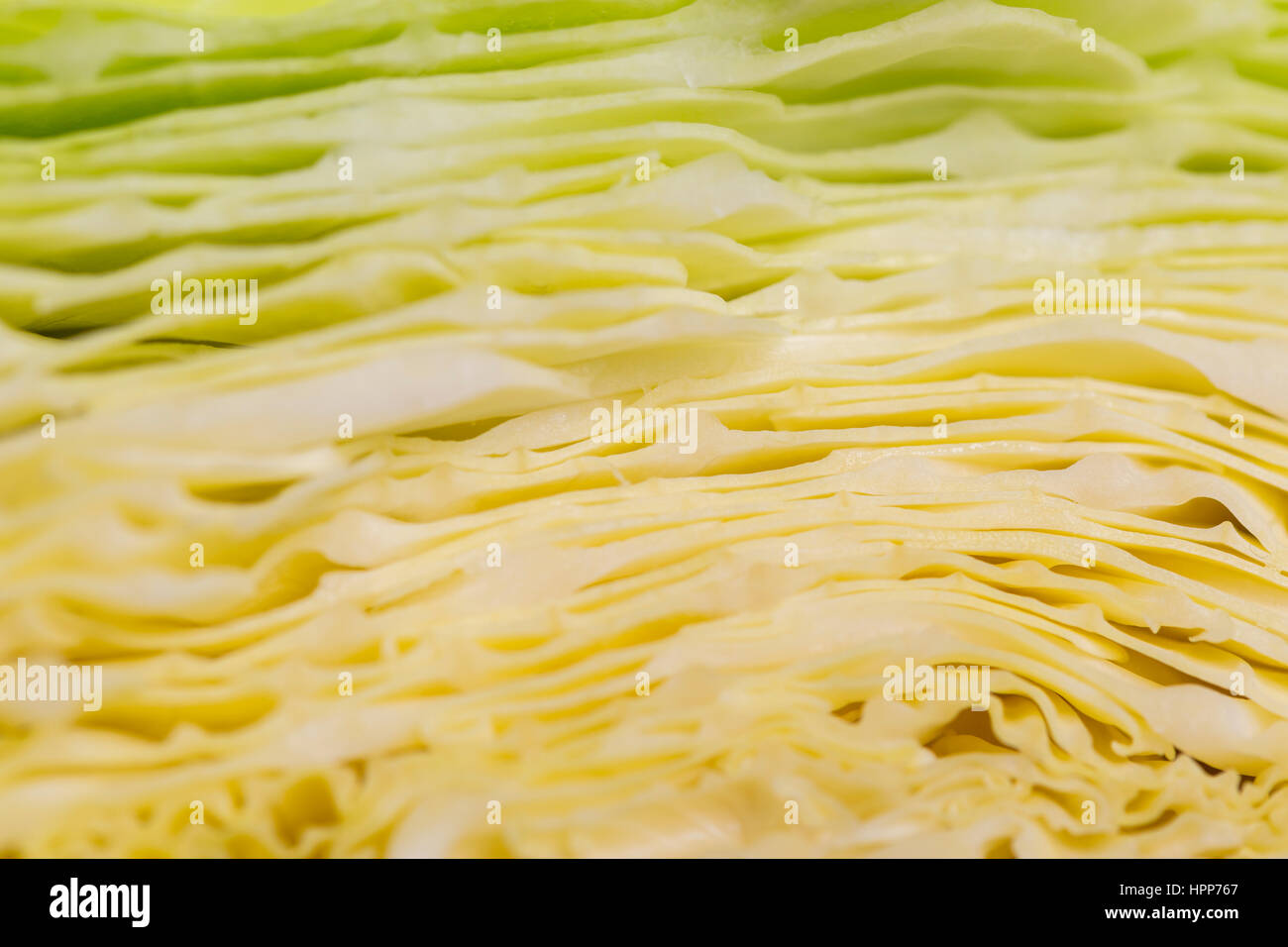 Sliced cabbage, detail Stock Photo - Alamy