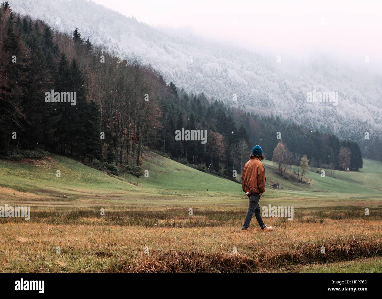 Back view of young man strolling hi-res stock photography and images ...