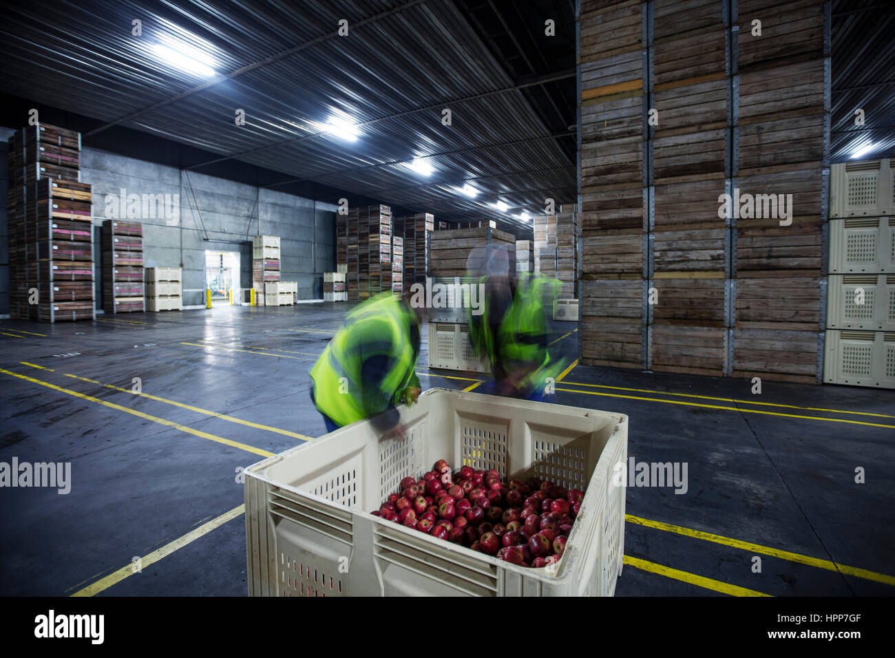 Two workers inspecting apples in distribution warehouse Stock Photo - Alamy