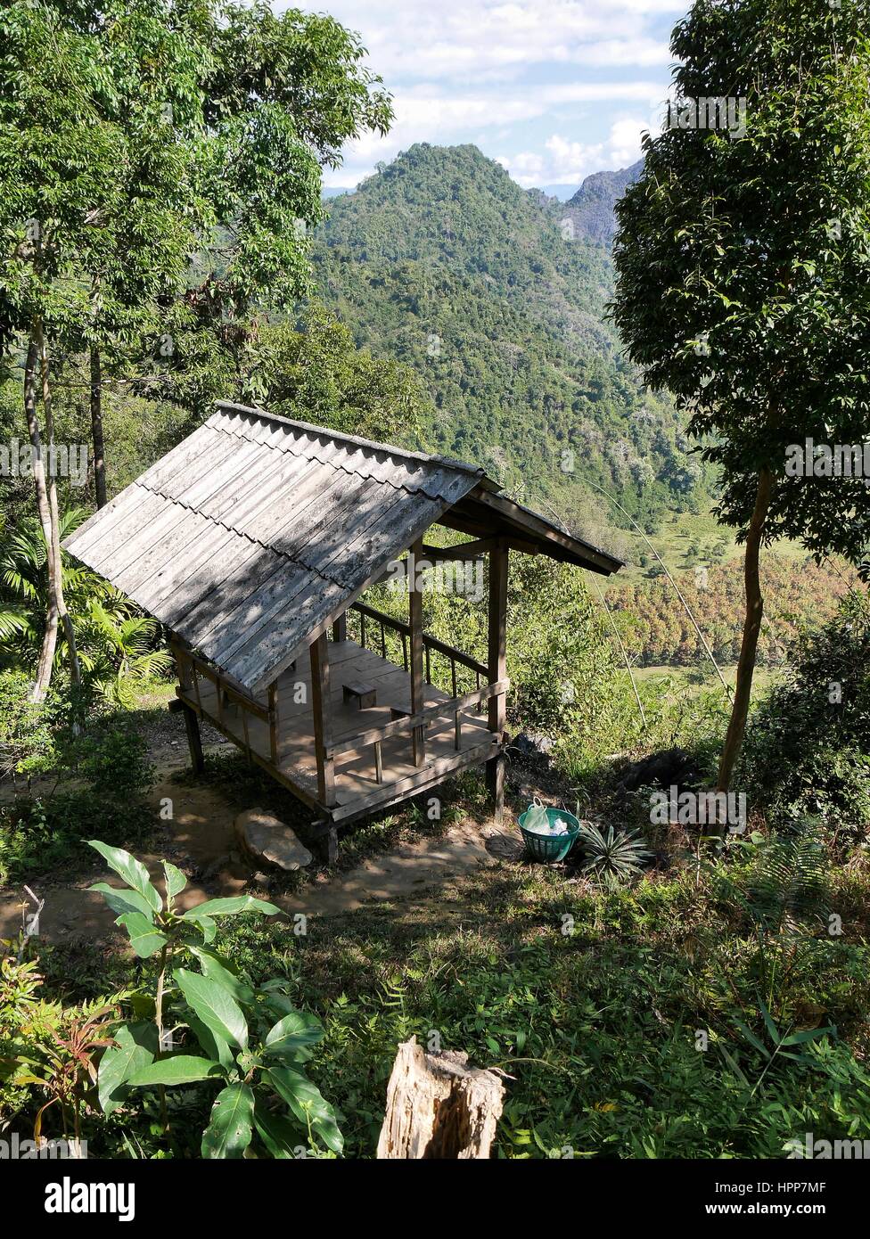 Mountain hut in mountainous forest region Stock Photo - Alamy