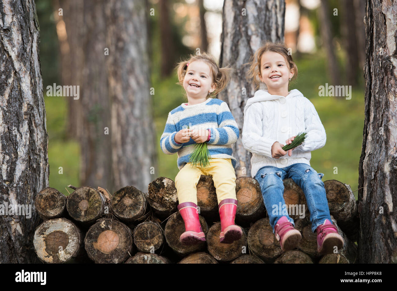 Two smiling girls sitting on stack of wood in forest Stock Photo - Alamy