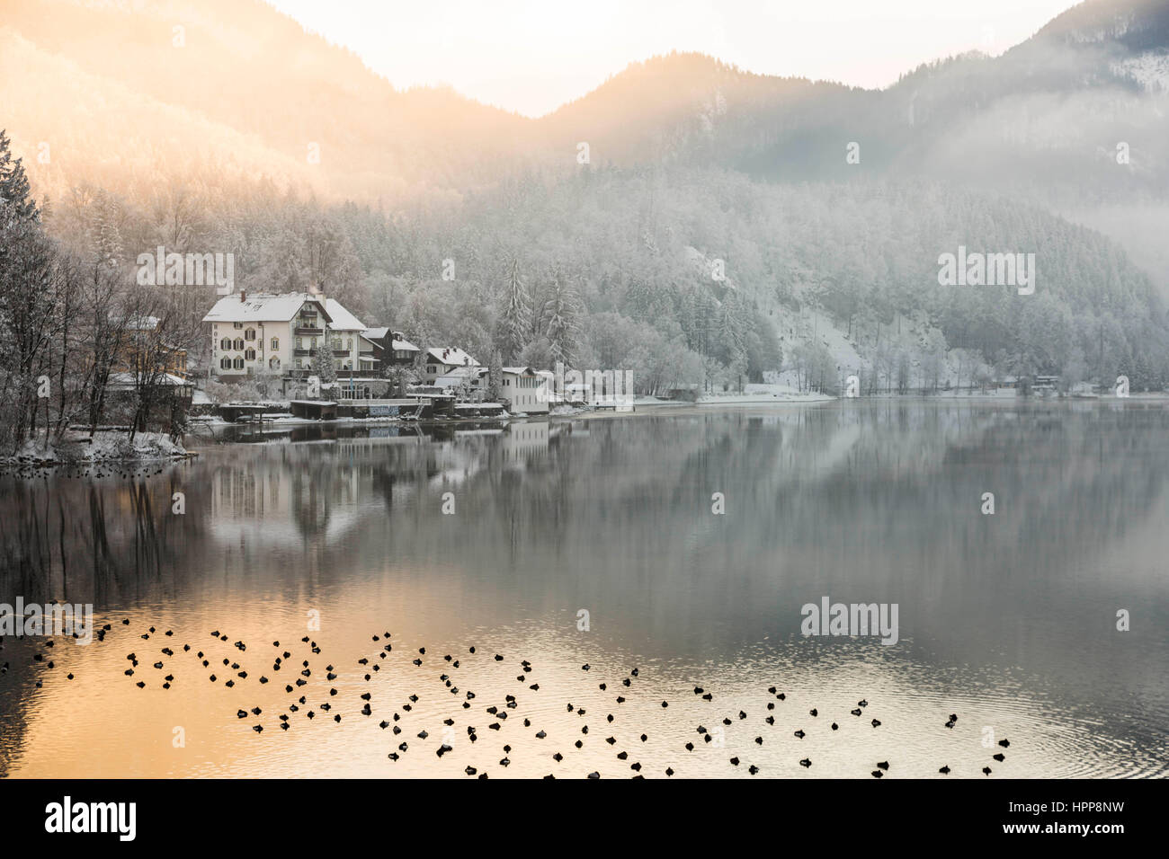 Germany, Lake Kochel in winter Stock Photo - Alamy