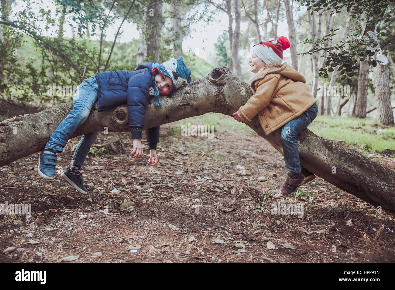 Two boys playing on tree in forest 2 3 years hi-res stock photography ...