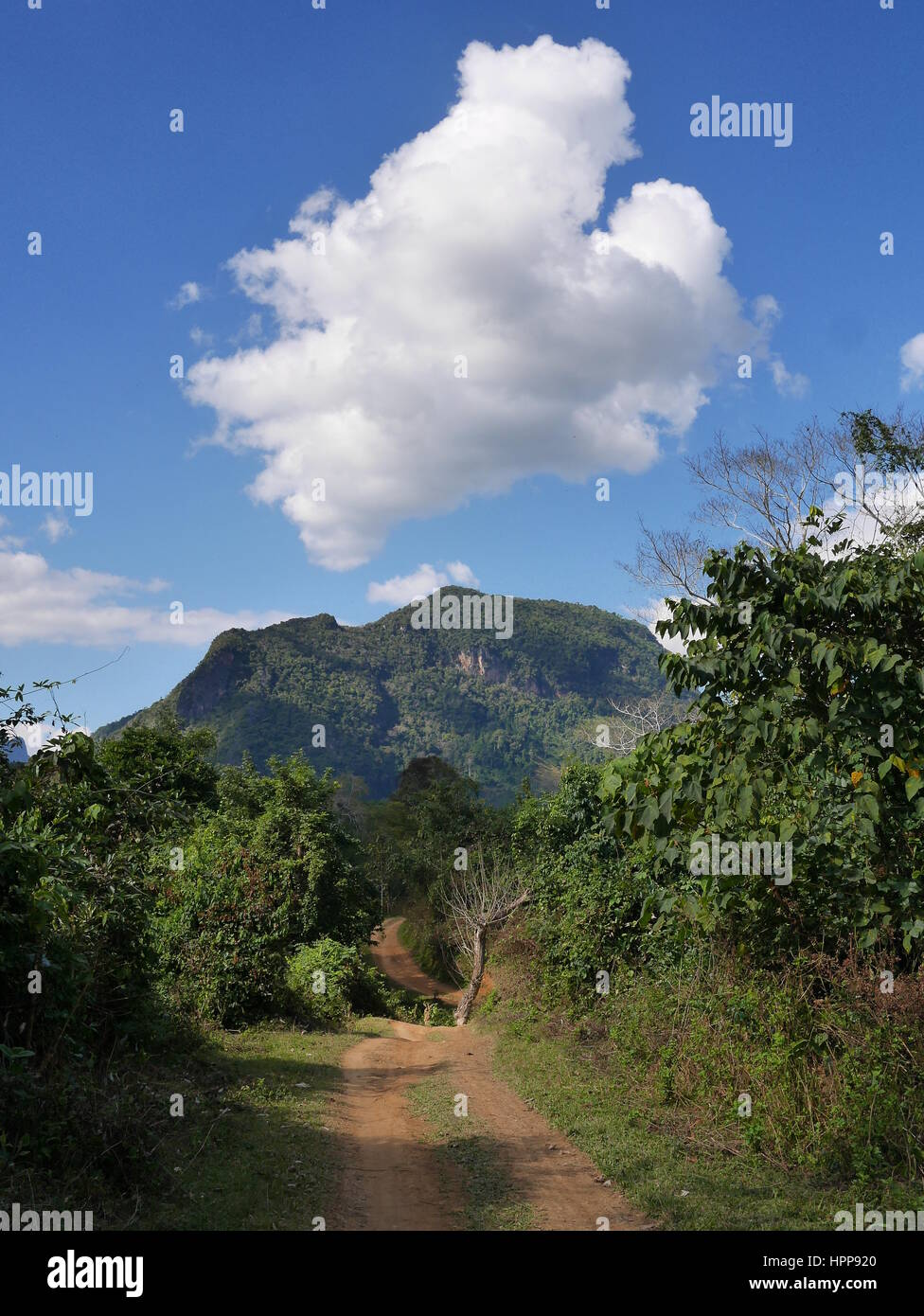 Trail path up the hill hi-res stock photography and images - Alamy