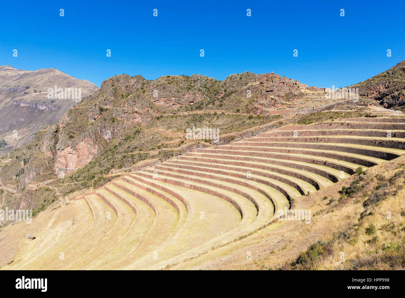 Peru, Andes, Valle Sagrado, Inca ruins of Pisac, terraces of Andenes ...