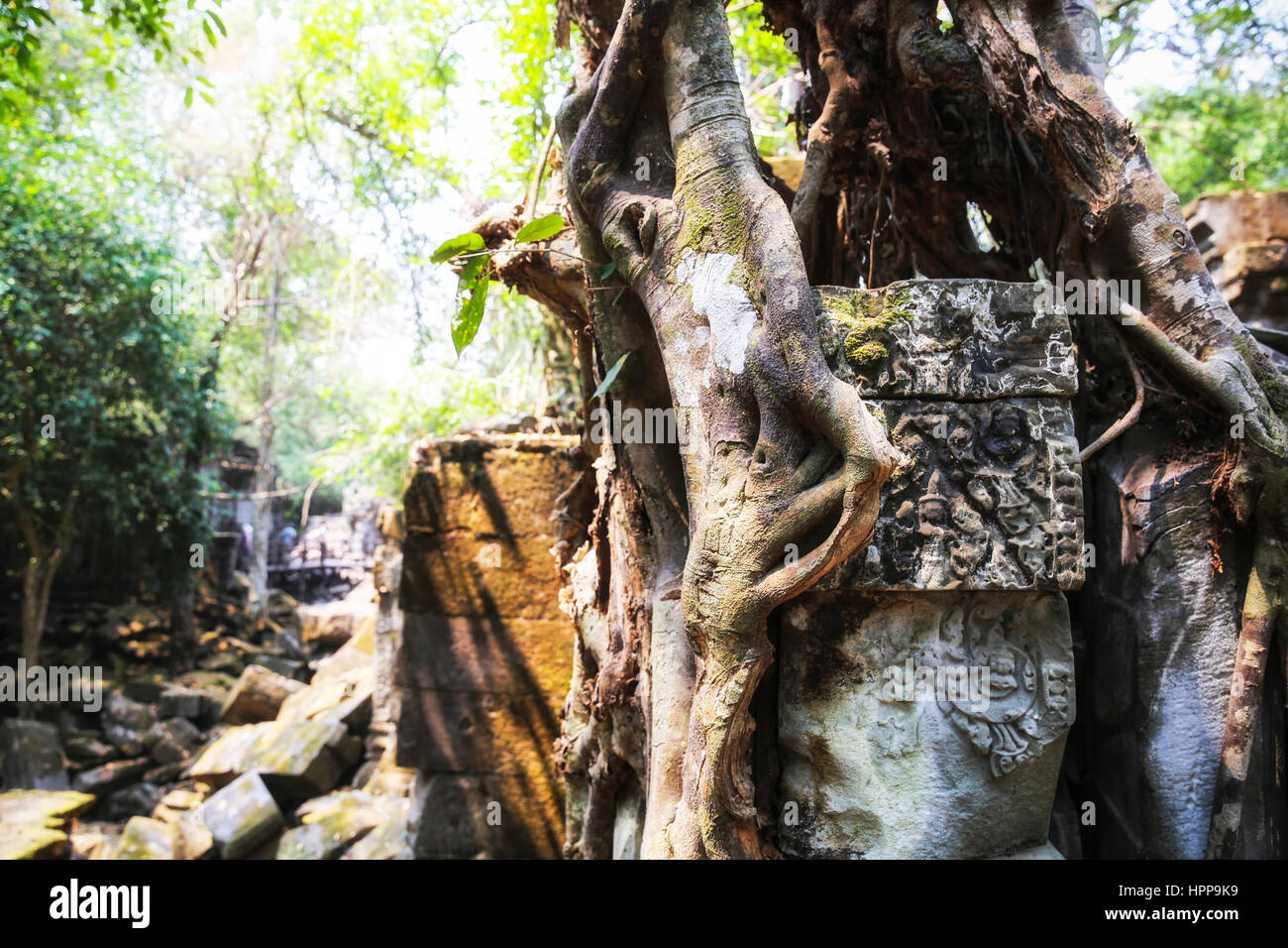 Cambodia, Angkor, Beng Mealea Temple Stock Photo - Alamy