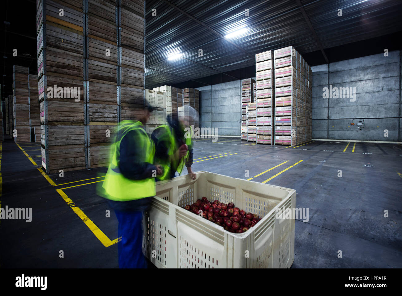 Two workers inspecting apples in distribution warehouse Stock Photo - Alamy