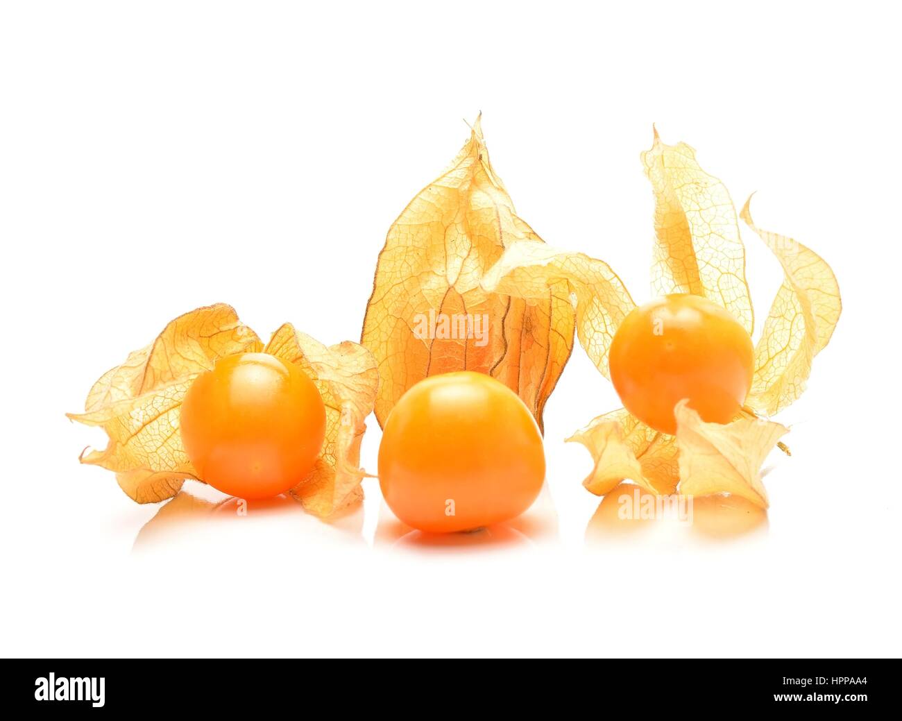 ripe physalis isolated on white background Stock Photo - Alamy