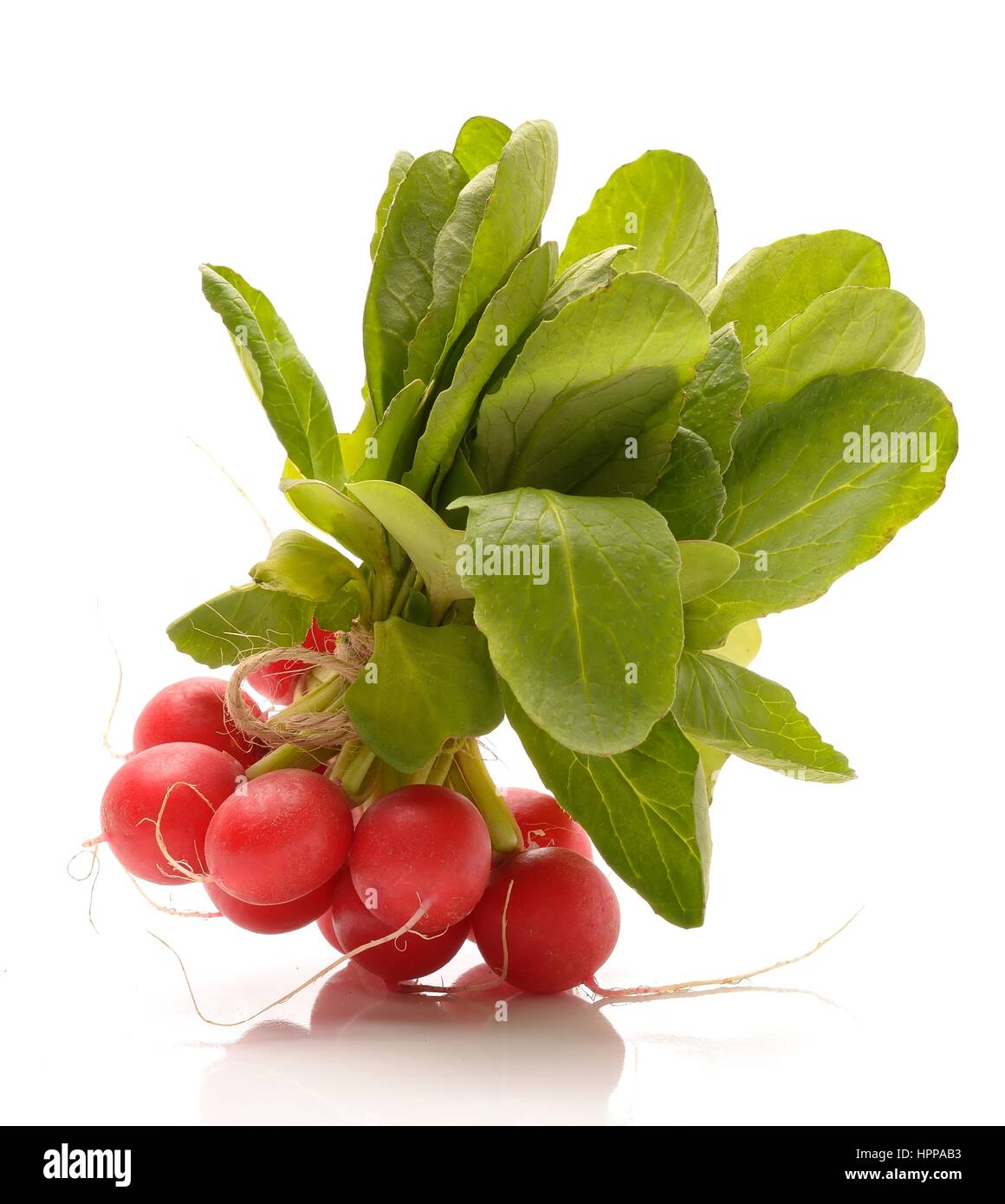 Small garden radish isolated on white background Stock Photo - Alamy