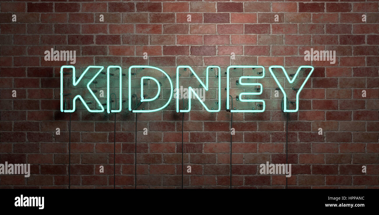 Kidney fluorescent neon tube sign hi-res stock photography and images ...
