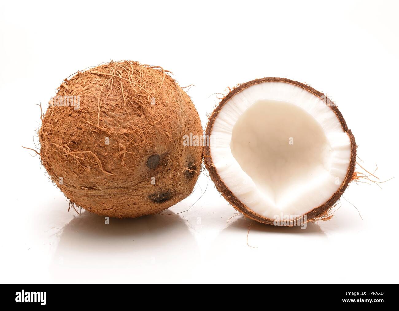 Coconut on a white background Stock Photo - Alamy