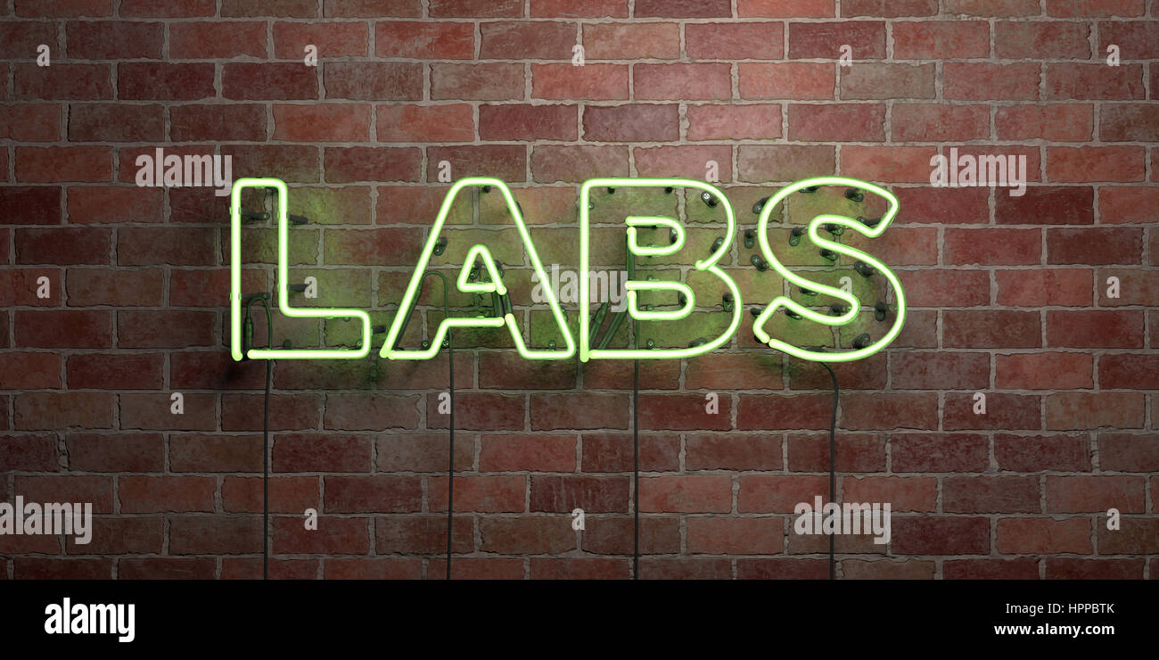 LABS - fluorescent Neon tube Sign on brickwork - Front view - 3D ...