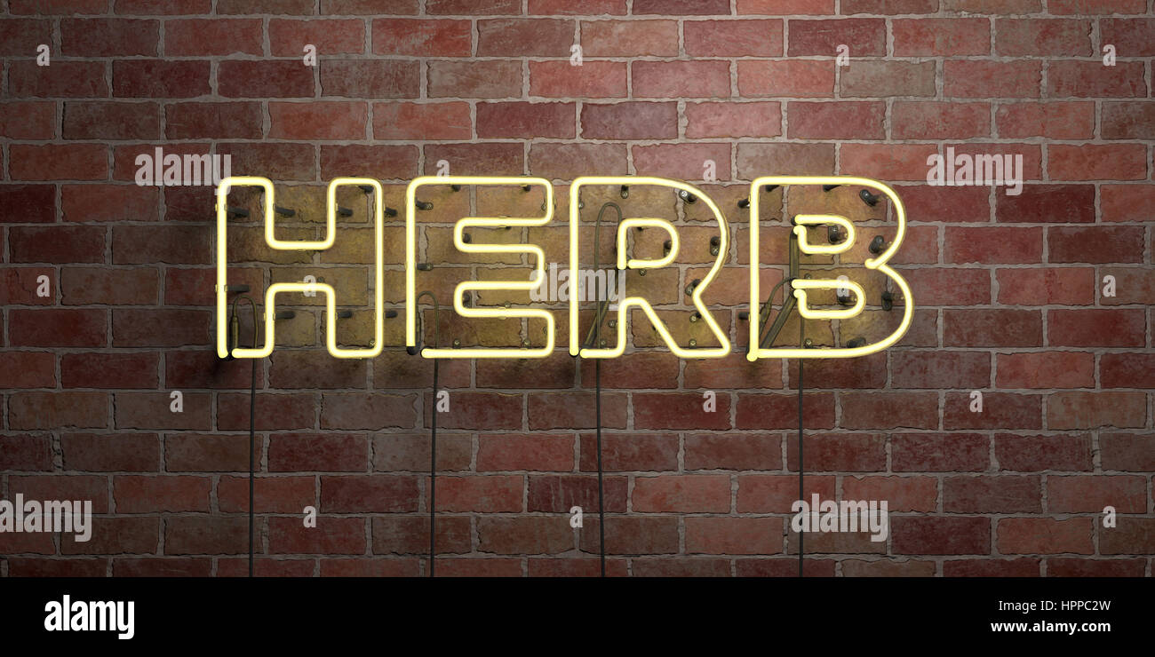 HERB - fluorescent Neon tube Sign on brickwork - Front view - 3D ...