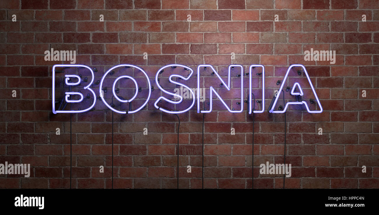 BOSNIA - fluorescent Neon tube Sign on brickwork - Front view - 3D ...