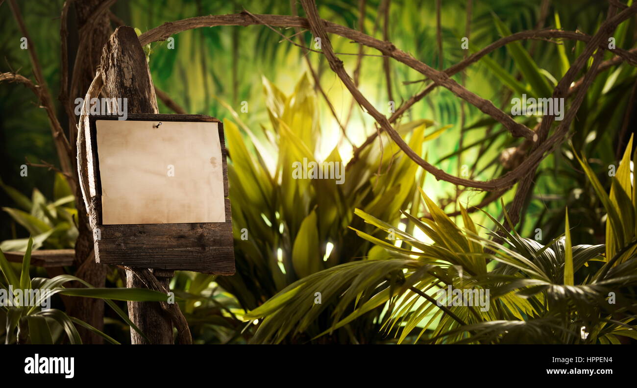 Old wooden sign with stained paper standing in the rainforest jungle ...