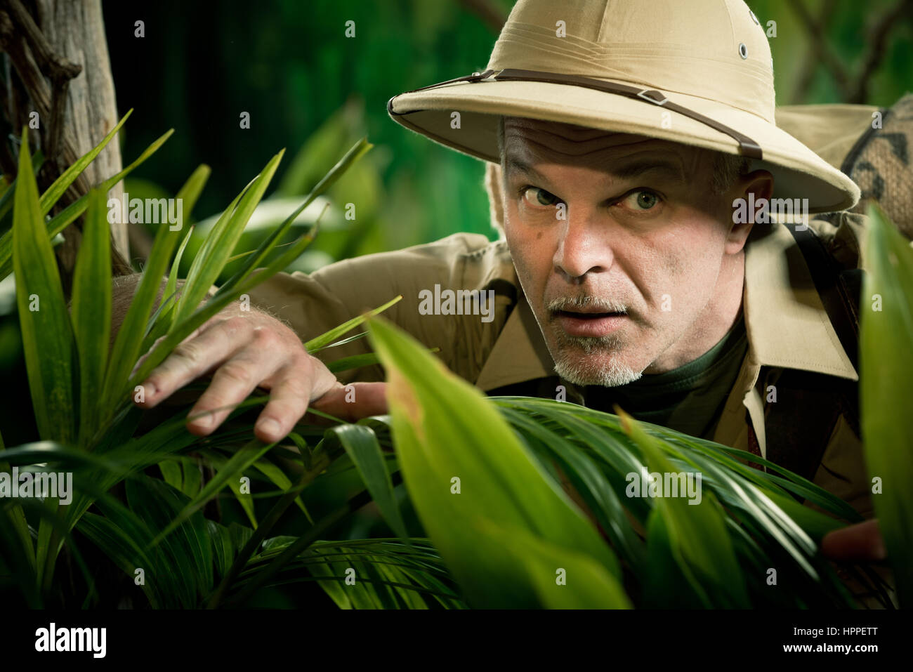 Adventurer hiding and peeking through plants in the rainforest jungle ...