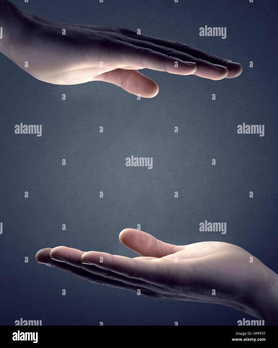 Male hands cupped on gray background with copyspace in the center Stock ...