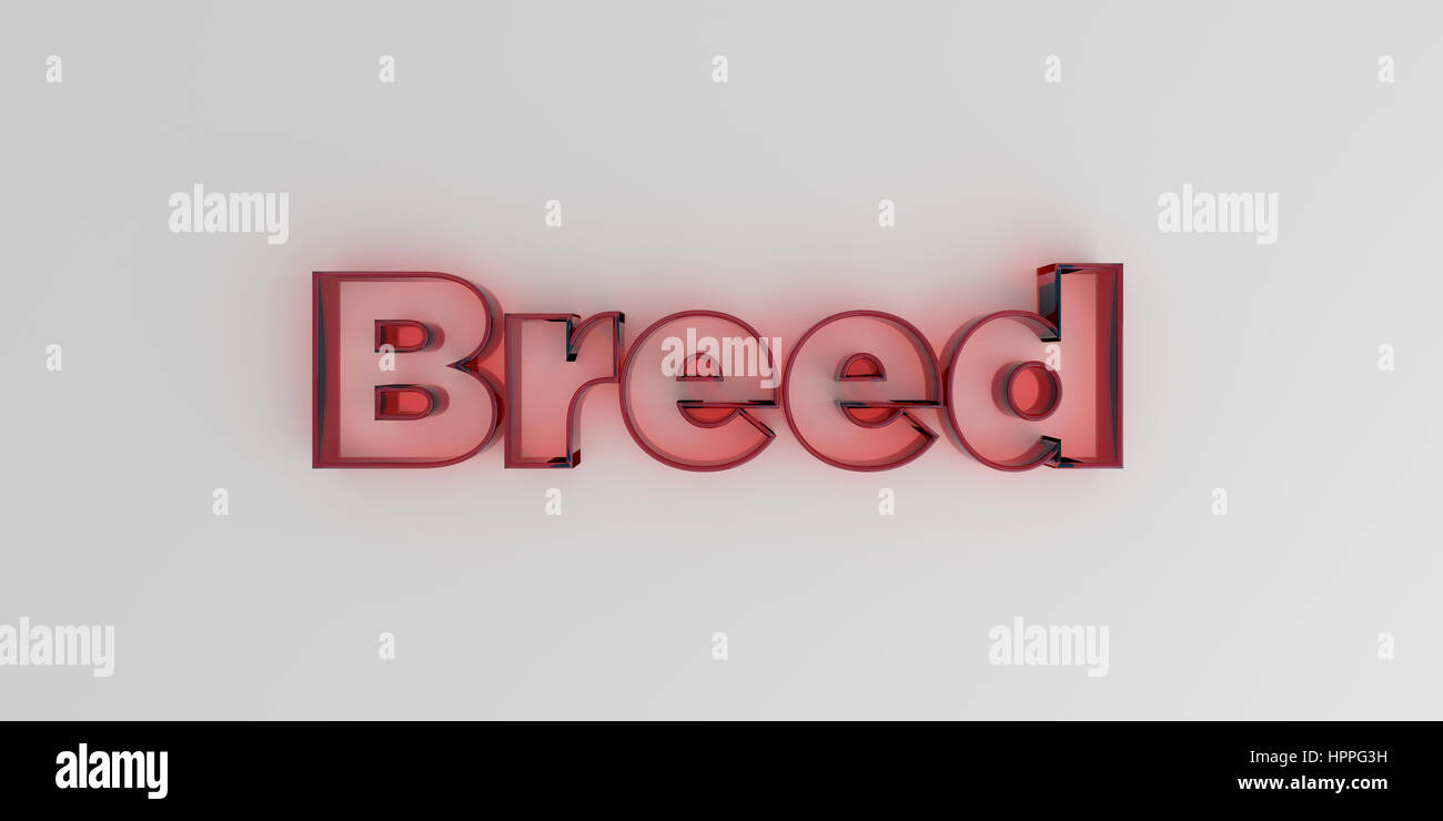 Breed - Red glass text on white background - 3D rendered royalty free ...