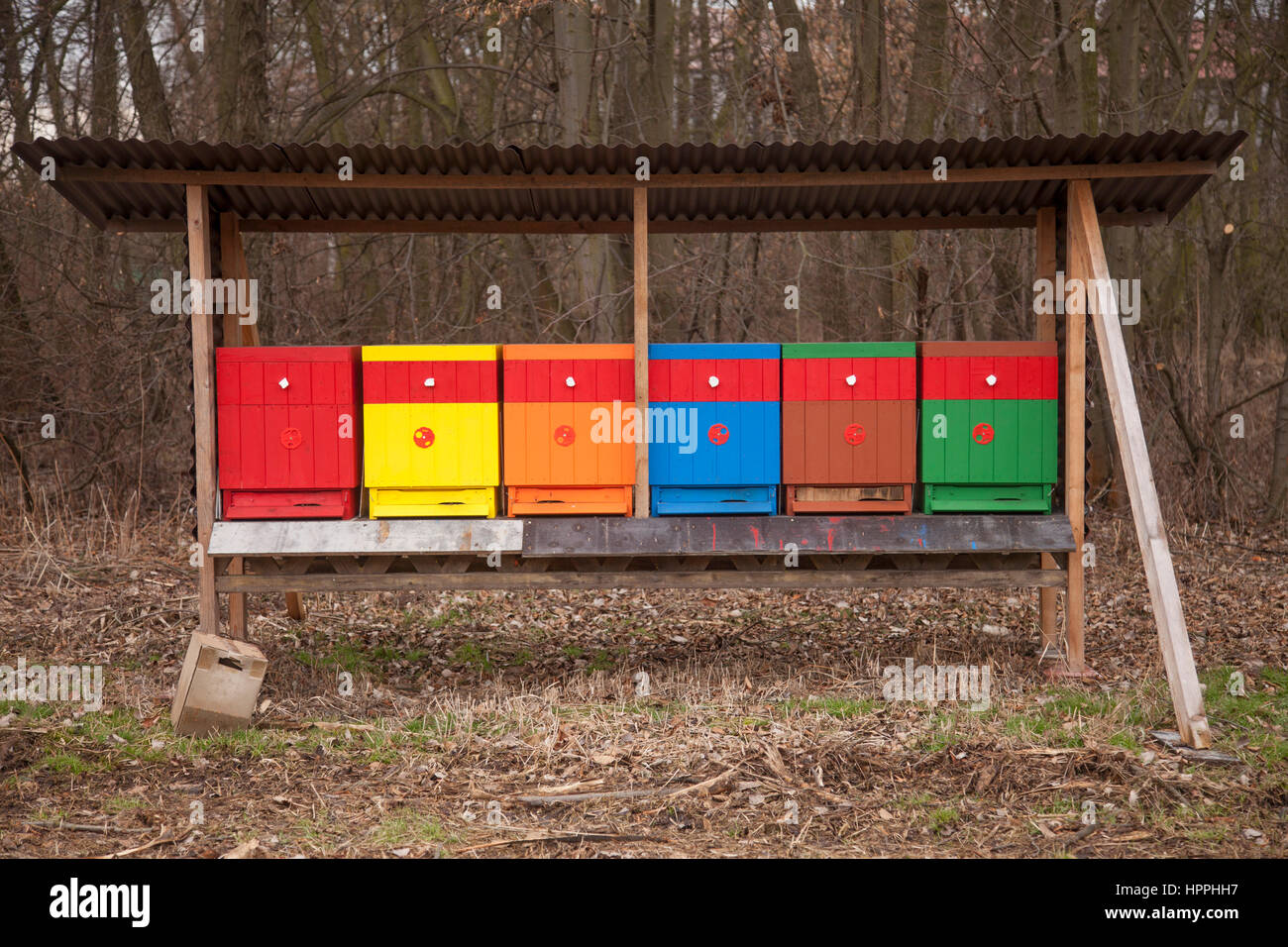Honeybee colonies hi-res stock photography and images - Alamy