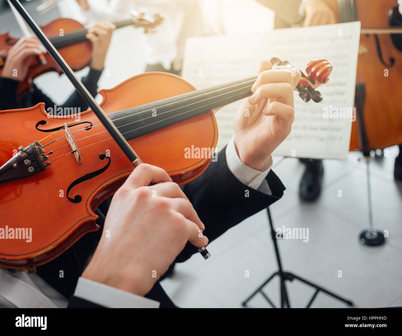 Confident violinist playing his instrument and reading a music sheet ...