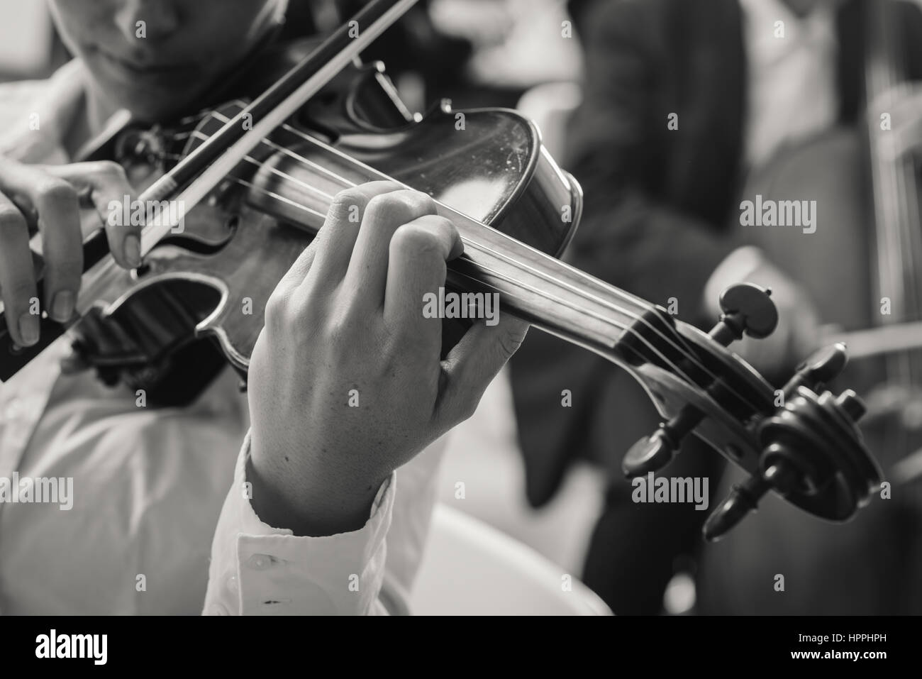 Classical music symphony orchestra string section performing, female ...