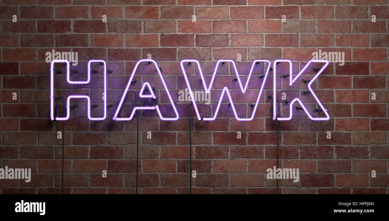 HAWK - fluorescent Neon tube Sign on brickwork - Front view - 3D ...