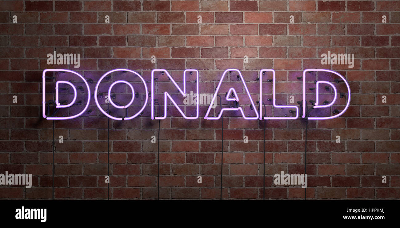 DONALD - fluorescent Neon tube Sign on brickwork - Front view - 3D ...