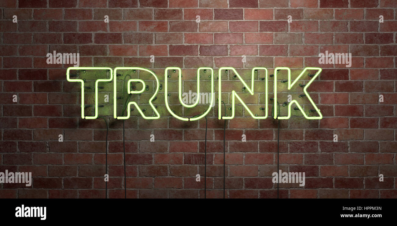 TRUNK - fluorescent Neon tube Sign on brickwork - Front view - 3D ...