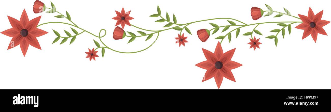 creeper with red flowers floral design Stock Vector Image & Art - Alamy