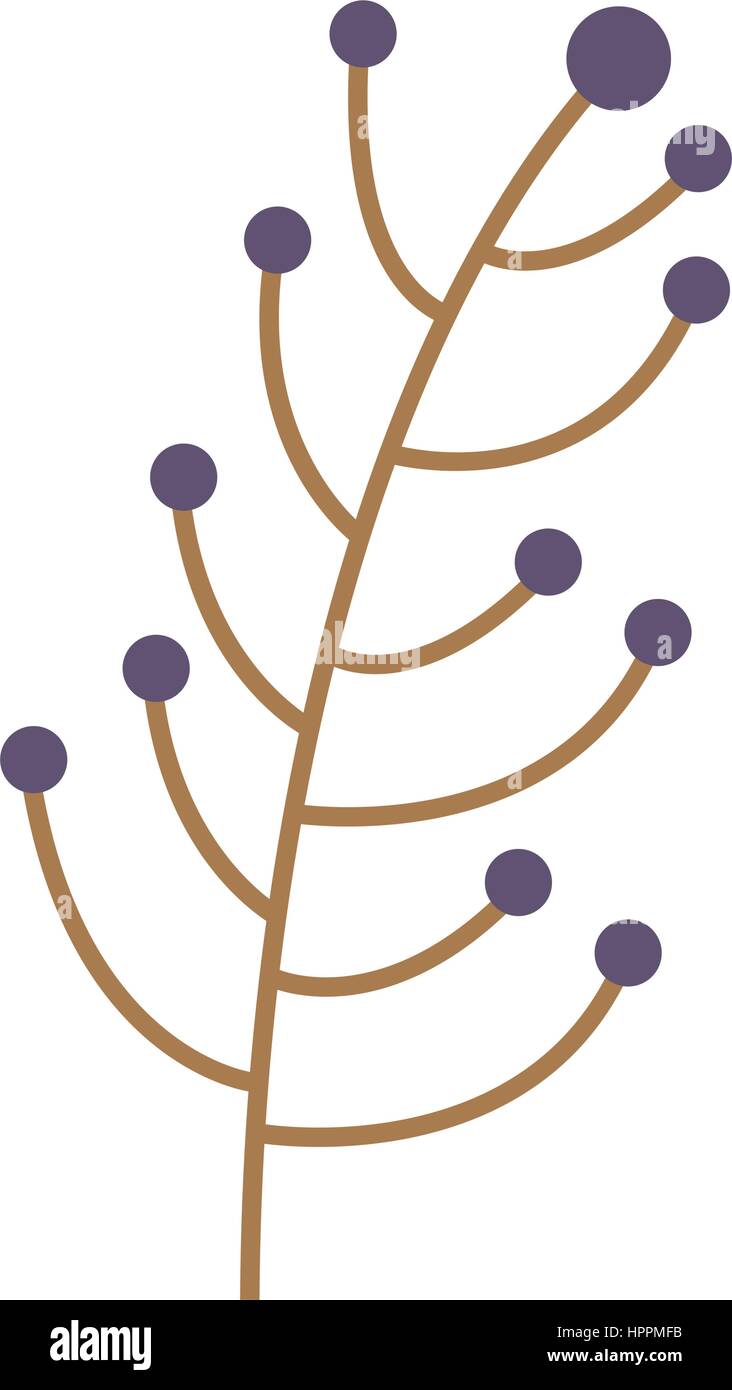 ramifications tree with stem and branches Stock Vector Image & Art - Alamy