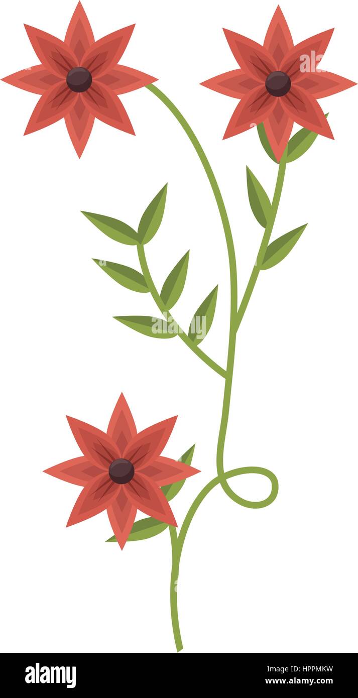 plant with ramification and red flowers Stock Vector Image & Art - Alamy