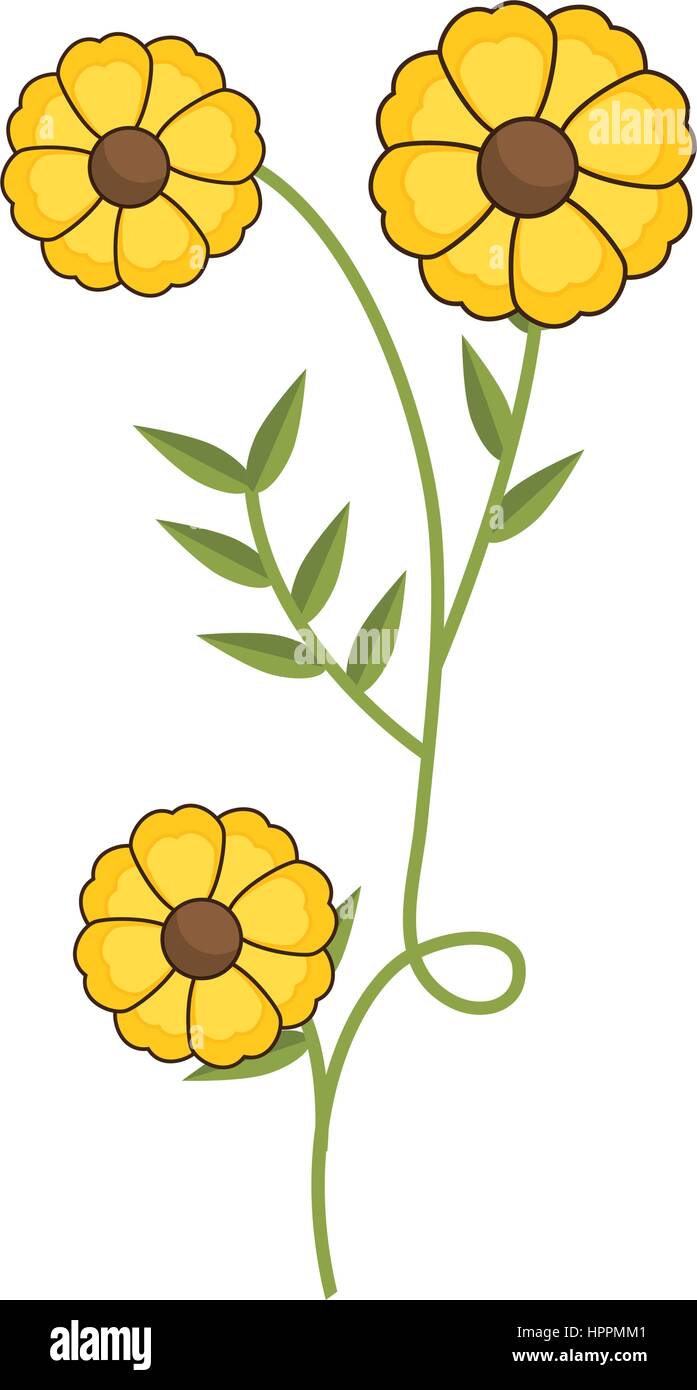 plant with ramification and yellow flowers Stock Vector Image & Art - Alamy