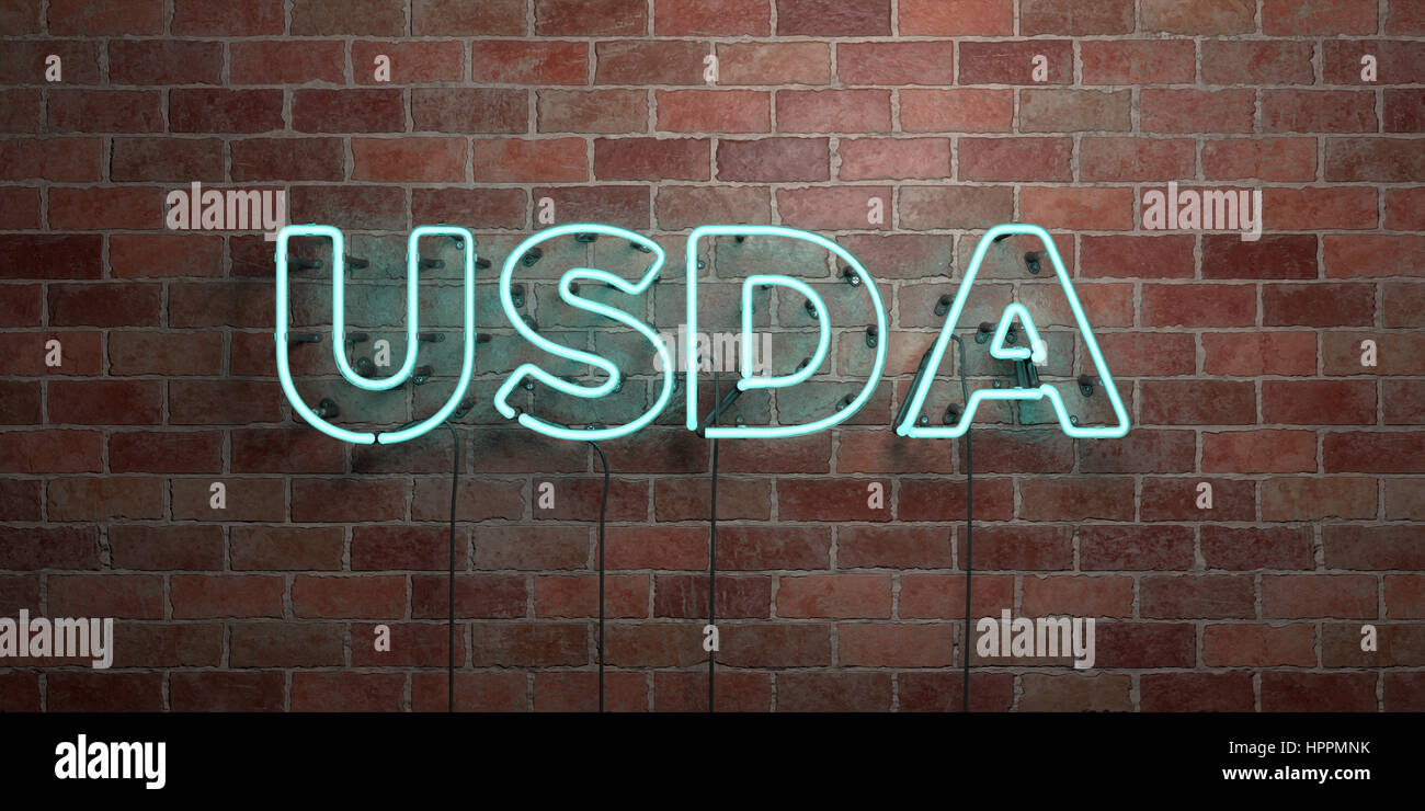 USDA - fluorescent Neon tube Sign on brickwork - Front view - 3D ...